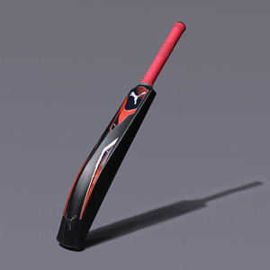 PUMA Indoor Bat English Willow Cricket Bat For 15+ Yrs - Buy PUMA ...