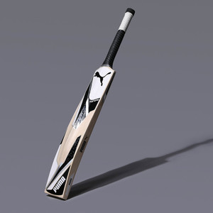 PUMA Future 20.25 KW Kashmir Willow Cricket Bat For 15+ Yrs - Buy PUMA ...