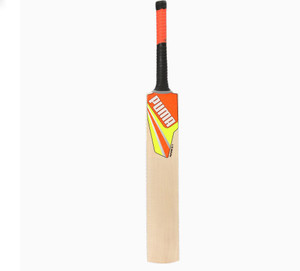 PUMA Future 3.1 Kashmir Willow Season Cricket Bat(full size) Kashmir ...