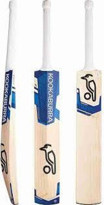 VEDANCE SPORTS SURGE Kashmir Willow Cricket Bat ( Size: Short Handl ...