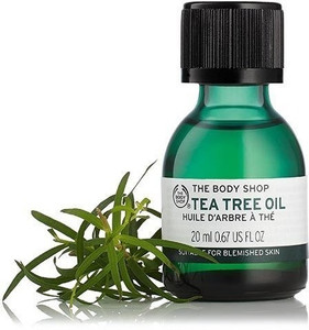THE BODY SHOP Tea Tree Oil - Price in India, Buy THE BODY SHOP Tea Tree ...