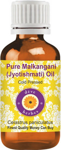 deve herbes Pure Malkangani (Malkangni / Jyotishmati) Oil (Celastrus ...