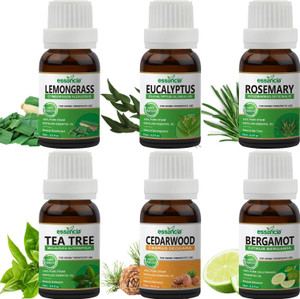 essancia Pack of 6 Essential Oils Lemongrass, Eucalyptus, Rosemary, Tea ...