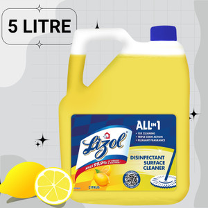 Lizol Disinfectant Surface & Floor Cleaner Liquid Suitable for All ...