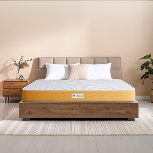 Sleepwell Dual, Reversible, Medium Soft & Firm Resitec Foam, Anti ...