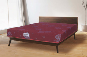 Hypnos Dual Comfort Mirage 04 inch Single High Resilience (HR) Foam ...