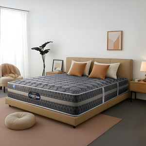 SPRINGFIT Club Class Platinum 6 inch Single Pocket Spring Mattress ...