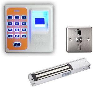 HANUTECH Professional Door Access Control System with EM Lock 600 2W ...