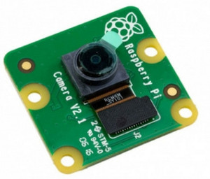 Raspberry Pi Bird Camera Price in India - Buy Raspberry Pi Bird Camera ...