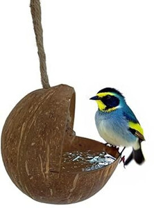 Natchus Coconut shell Bird feeder Hopper Bird Feeder Price in India ...