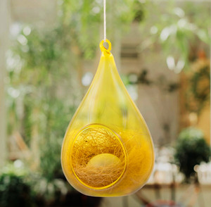 BIRDSHALA Hanging Transparent Glass Bird House with Coir Nest for ...