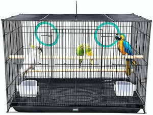 Azmari 2 FT Bird Cage Best for Lovebird/Pet, Parrot, Parakeet, Budgie ...