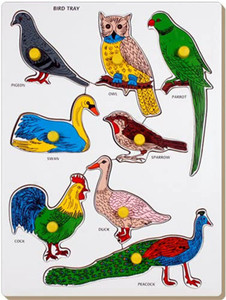 Cyrus 2022 NEW Wooden Birds Board game educational Puzzle for Kids ...