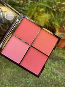Sheny Ultra Blush Matte and Shimmer Blusher Palette ( - Price in India ...