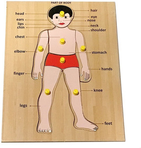 MOJOPANDA Human Body Parts Identification Board Game Educational Board ...