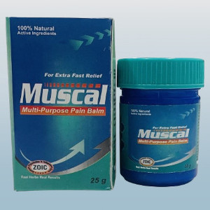 ZOIC Pharmaceuticals Muscal Multi Purpose for Headache, Back, Muscle ...