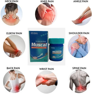 ZOIC Pharmaceuticals Muscal Multi Purpose for Headache, Back, Muscle ...