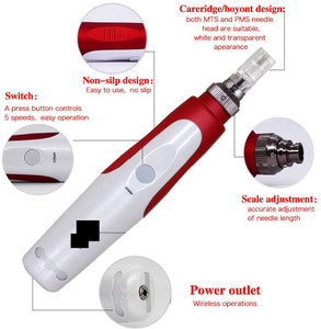 R A Products Derma Pen with 2 Extra 12 Needles Cartridges Derma Pen ...