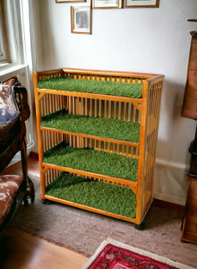 EVRA Wooden,Cane Rack Book Shelf for Office,Utility Planter ...