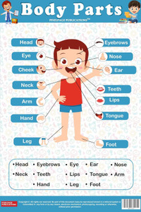 Early Learning Body Parts Educational Charts for Kids | 18 x 23 Inch ...
