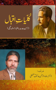 KULLIYAT-E-IQBAL: Buy KULLIYAT-E-IQBAL by DR. RAZA-UR-RAHMAN AKIF ...
