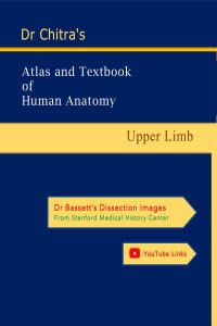 Dr Chitra's Atlas and Textbook of Human Anatomy - Upper Limb: Buy Dr ...