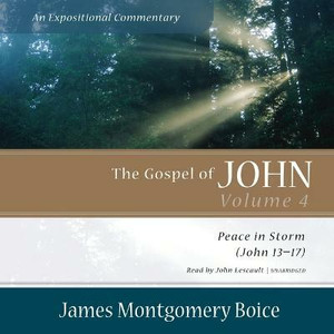 The Gospel of John: An Expositional Commentary, Vol. 4: Buy The Gospel ...