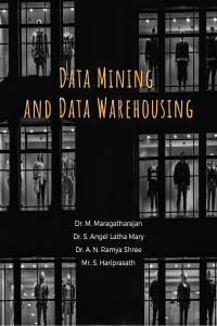 Data Mining and Data Warehousing: Buy Data Mining and Data Warehousing ...