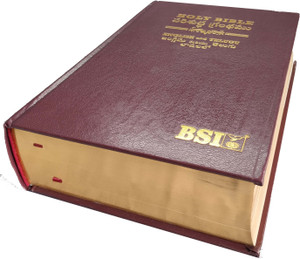 Telugu (O.V.) - English (ESV) Diglot Bible (Hardcover) Royal Burgundy ...