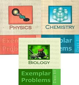 NCERT EXEMPLAR PCB CLASS 12: Buy NCERT EXEMPLAR PCB CLASS 12 by Ncert ...