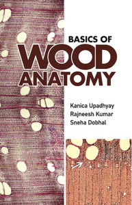 Basics of Wood Anatomy: Buy Basics of Wood Anatomy by Upadhyay Kanica ...