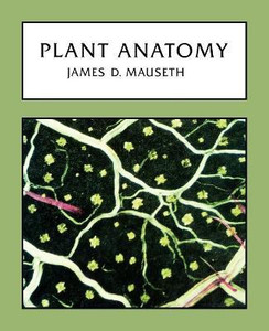 Plant Anatomy: Buy Plant Anatomy by Mauseth James D. at Low Price in ...