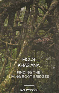 Ficus Khasiana - Finding the Living Root Bridges: Buy Ficus Khasiana ...