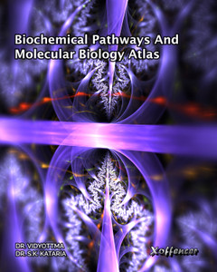 BIOCHEMICAL PATHWAYS AND MOLECULAR BIOLOGY ATLAS: Buy BIOCHEMICAL ...