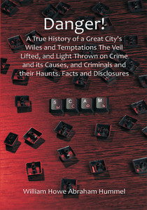 Danger! A True History of a Great City's Wiles and Temptations The Veil ...