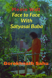 Please Wait - Face to Face With Satyasai Baba: Buy Please Wait - Face ...