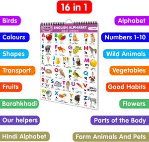 My First ALL IN ONE SPIRAL CHART ENGLISH-HINDI : Collection of early ...