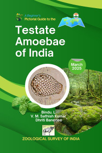A Beginner’s Pictorial Guide to the Testate Amoebae of India: Buy A ...