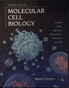 Molecular Cell Biology: Buy Molecular Cell Biology by Lodish, Darnell ...