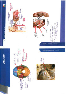 DAMS DVT ANNOTED (FILLED)-NEETPG Ka First AID 2023-2024 (SPIRAL-BINDING ...