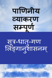 Paniniya Vyakarana - Sampurna / पाणिनीय व्याकरण - सम्पूर्ण: Buy ...