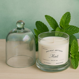 Ancient Artisan Bell Jar Alpine Frost Fragrance Candle Price in India ...