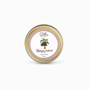 GIVA Mahagony Teakwood Candle(30g) Candle Price in India - Buy GIVA ...