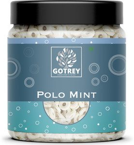GOTREY Polo Mint Candy Mint Candy Polo Candy (250g) Polo Candy Price in ...