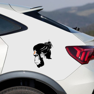 Helsov Sticker & Decal for Car & Bike Price in India - Buy Helsov ...