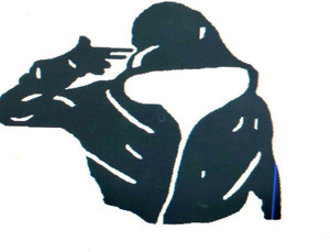 DVA Sticker & Decal for Car Price in India - Buy DVA Sticker & Decal ...