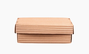 OKO Food Storage Takeaway Box/ Meal Box Paper Eco-FRiendly 1000 ML/1KG ...