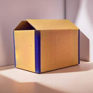 Bungbee Corrugated Cardboard Reinforced 12 x 12 x 12 Inch ,5 Ply House ...