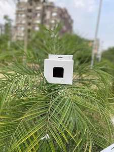 JIA INDUSTRIES Corrugated Cardboard Sporrow Bird House Budgies and ...