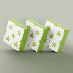 Niki Enterprises Auto-Lock Bottom Mono Carton Cardboard Packaging Box ...